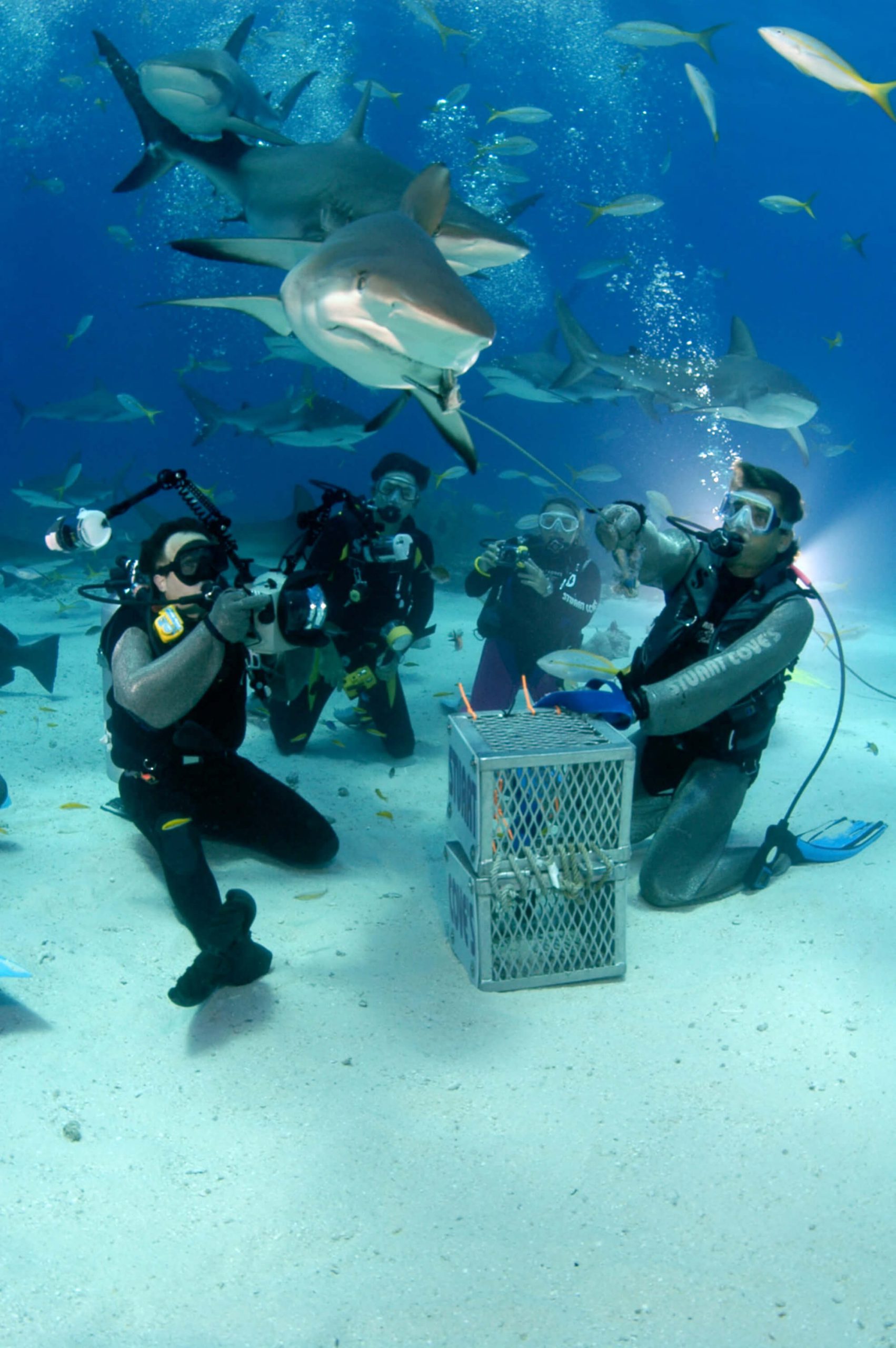 Image Library - Stuart Coves - Bahamas Dive Shop & Tours