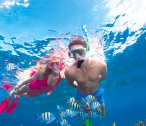 Stuart Cove's | Nassau Bahamas Aqua Adventures - Stuart Coves - Bahamas ...